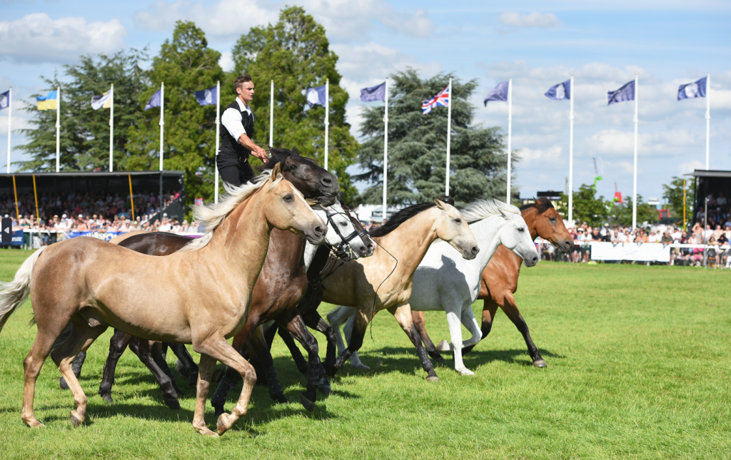 Royal Norfolk Show Guide 2025 – Royal Norfolk Show